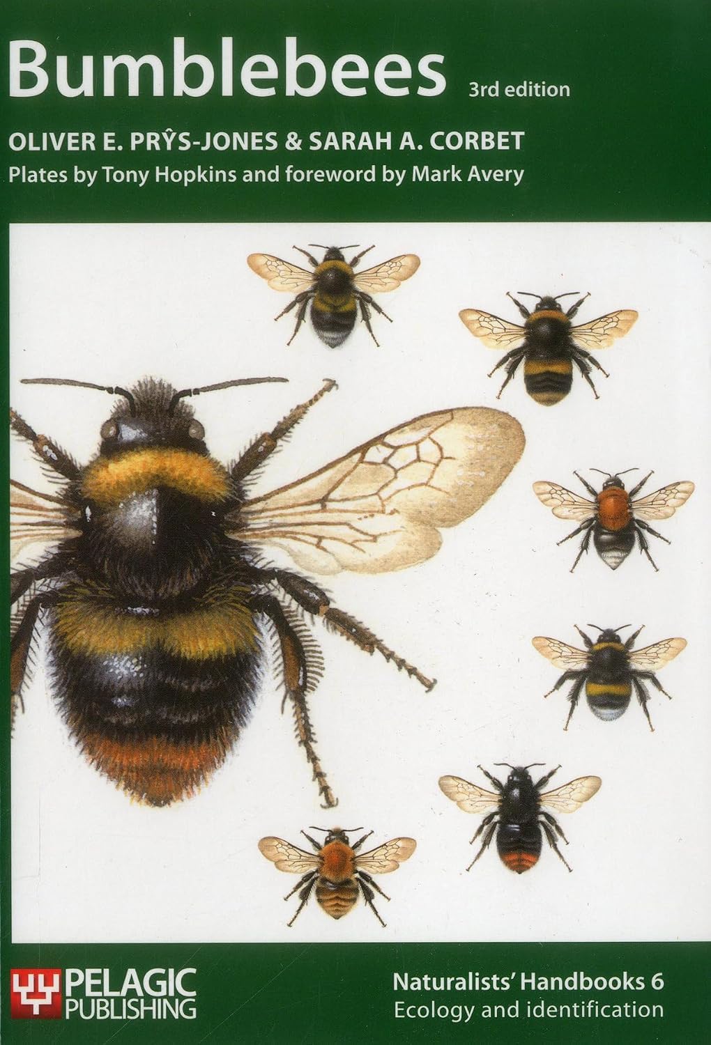 Bumblebees (Vol. 6) (Naturalists' Handbooks, Vol. 6): Prys-Jones ...