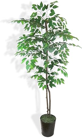 Amazon.com: LCG Florals Artificial Ficus Tree in Black Metal Pot - Real ...