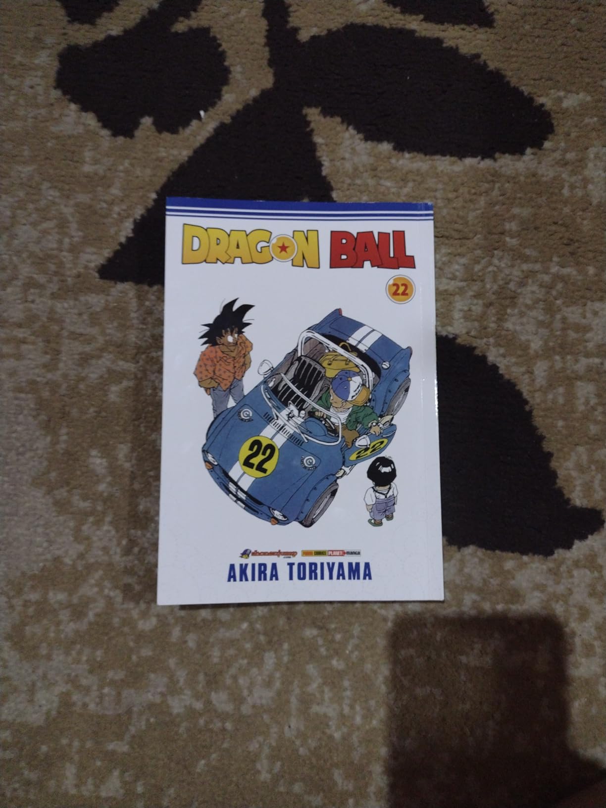 Dragon Ball - 22 | Amazon.com.br