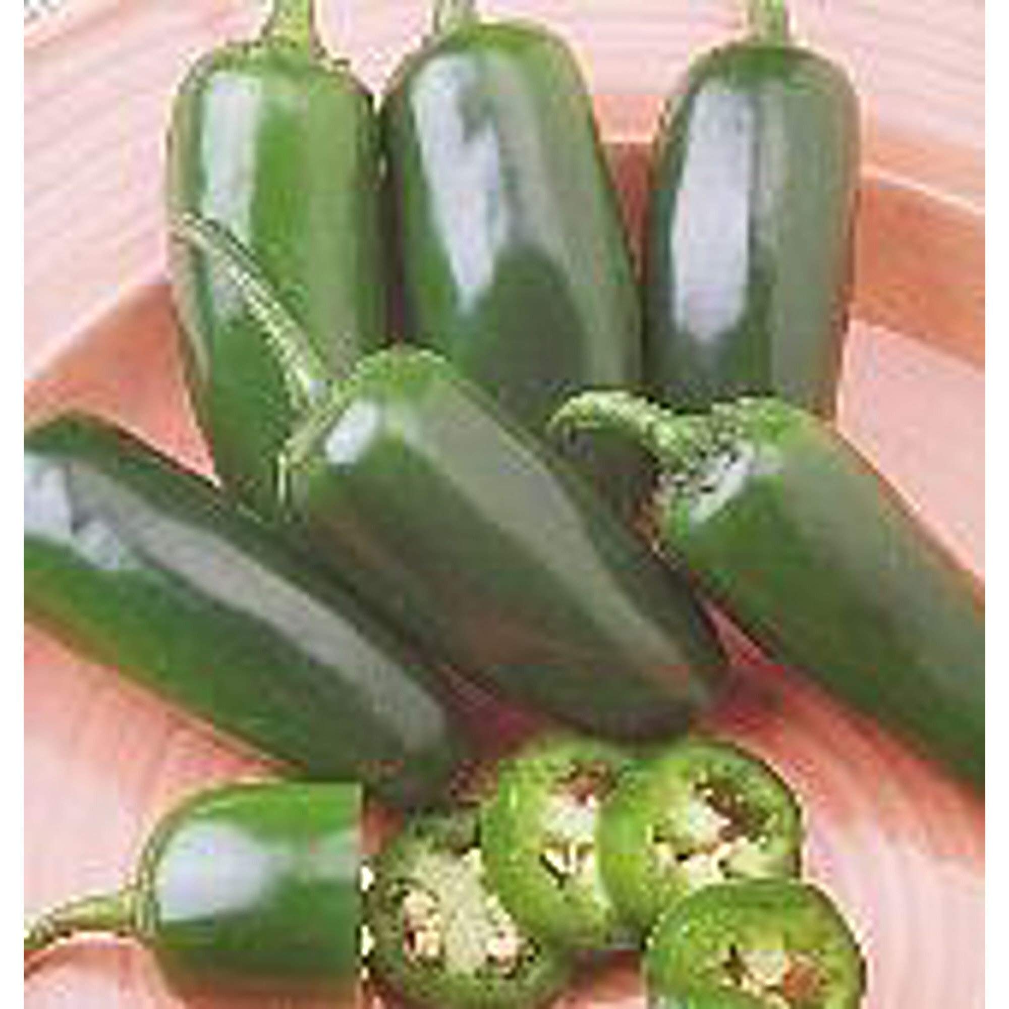 Amazon.com : Fooled You Jalapeno Hot Peppers Seeds (((50 Seed Packet ...