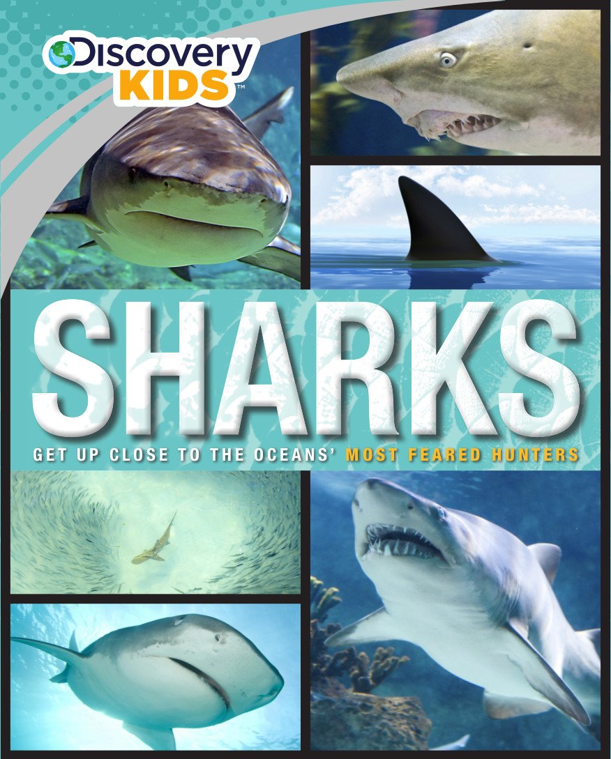 Amazon.com: Sharks (Family Reference Guide): 9781472376763: Parragon: Books