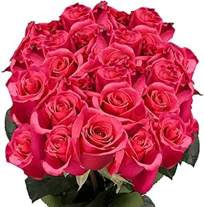 Amazon.com : GlobalRose Order Hot Pink Roses - 75 Hot Princess Roses ...