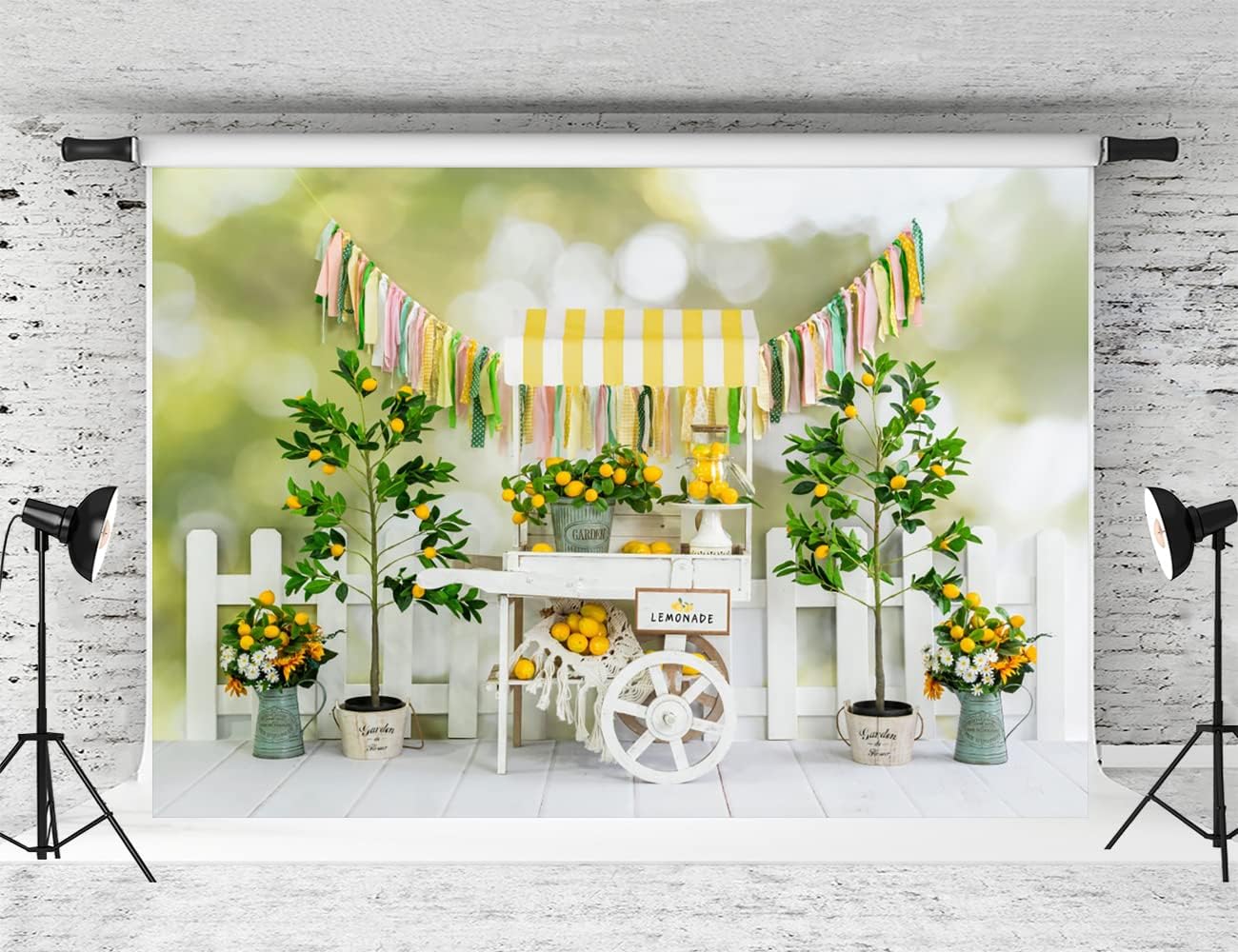 Amazon.com : Kate 7x5ft Summer Lemon Shop Backdrops for Photography ...