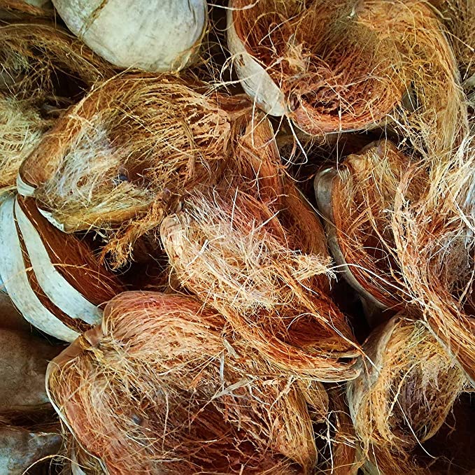 Thukil - Natural Coconut Husk Coir Fiber (4.5kg) : Amazon.in: Garden ...