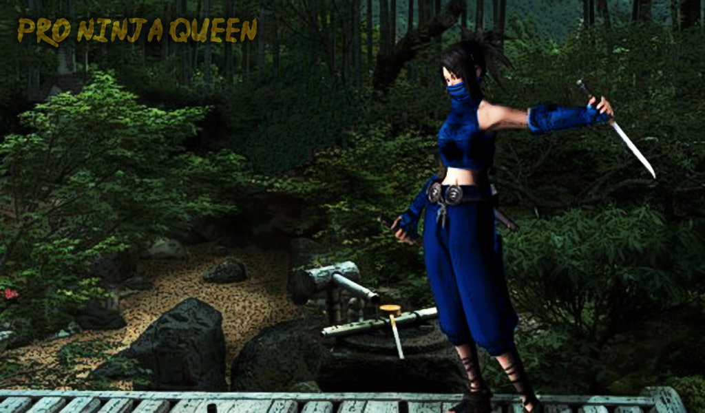 Pro Ninja Queen - App on Amazon Appstore