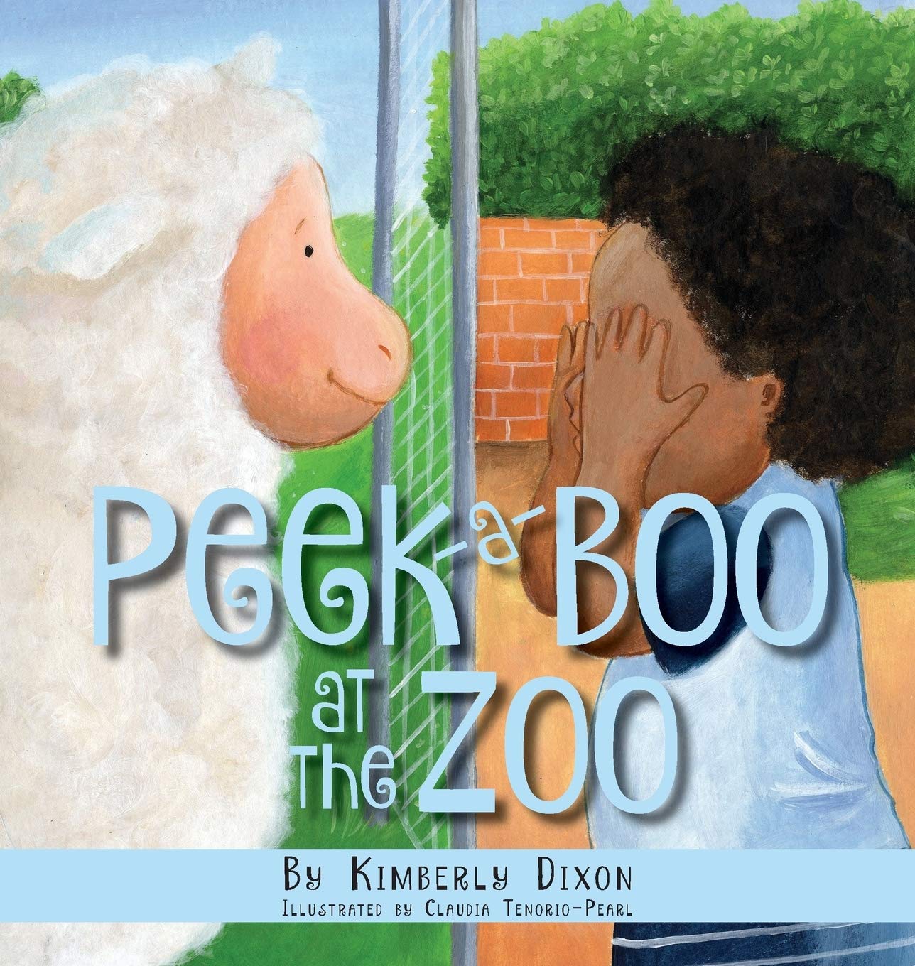 Amazon.com: Peek-a-Boo at the Zoo: 9781943258604: Dixon, Kimberly: Books