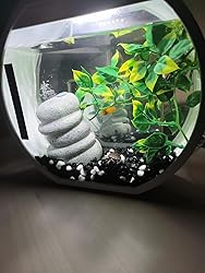 Fish R Fun Deco O Fish Tank White 20L : Amazon.co.uk: Pet Supplies