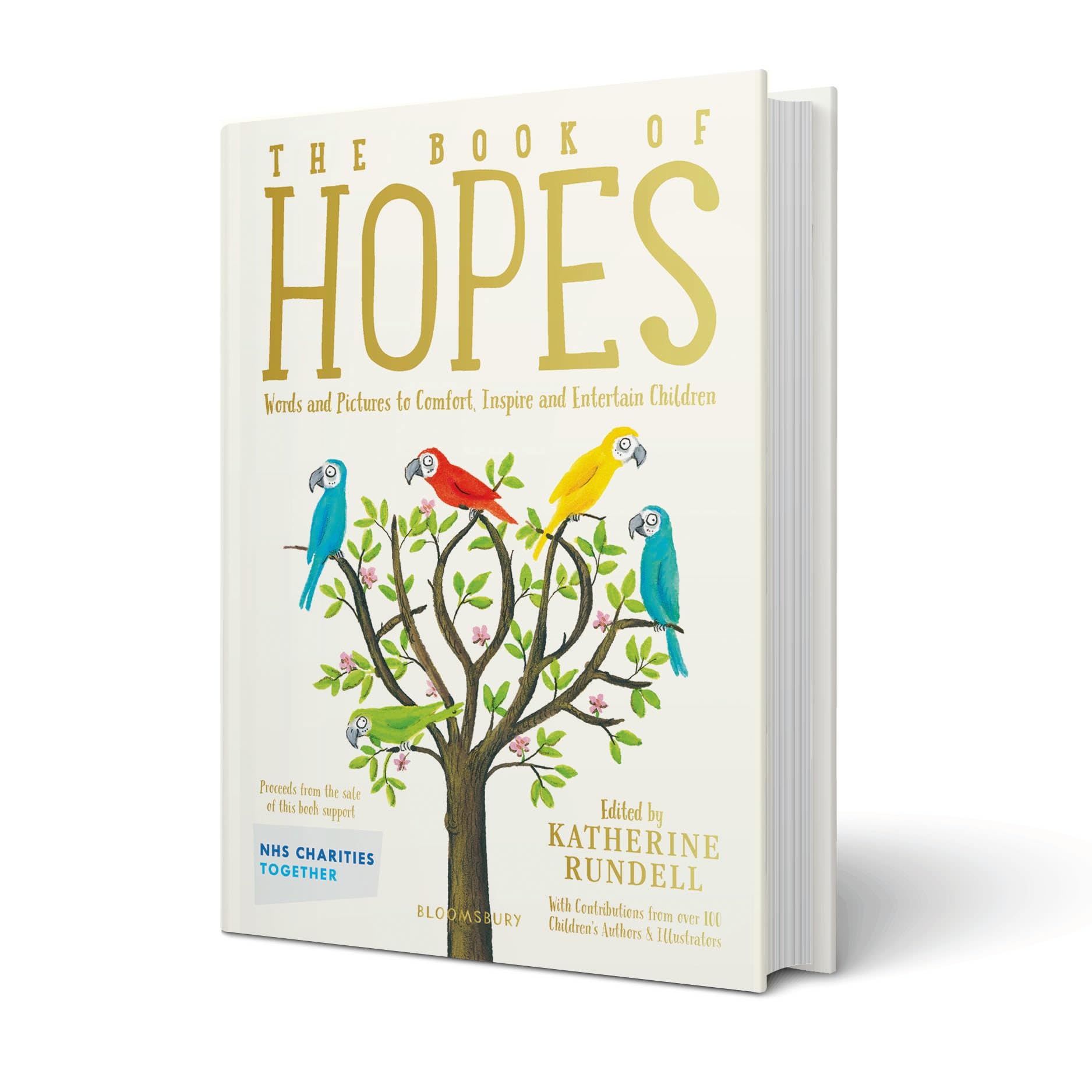 The Book of Hopes: Words and Pictures to Comfort, Inspire and Entertain ...