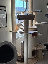 Amazon.com : Tangkula Tall Cat Tree, 67 Inch Multi-Level Modern Large Cat Tower with Top Perch ...