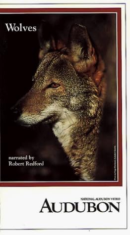 Amazon.com: National Audubon - Wolves / Documentary [VHS] : Audubon ...