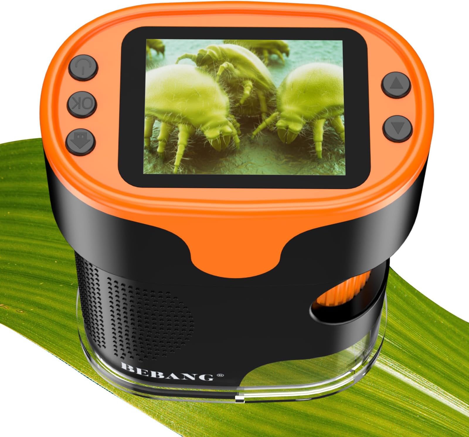 Amazon.com: 1000X Handheld Microscope for Kids 4K 2.0" Screen ...