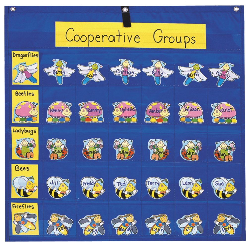 Buy Carson Dellosa Education Carson Dellosa Classroom Management Pocket ...