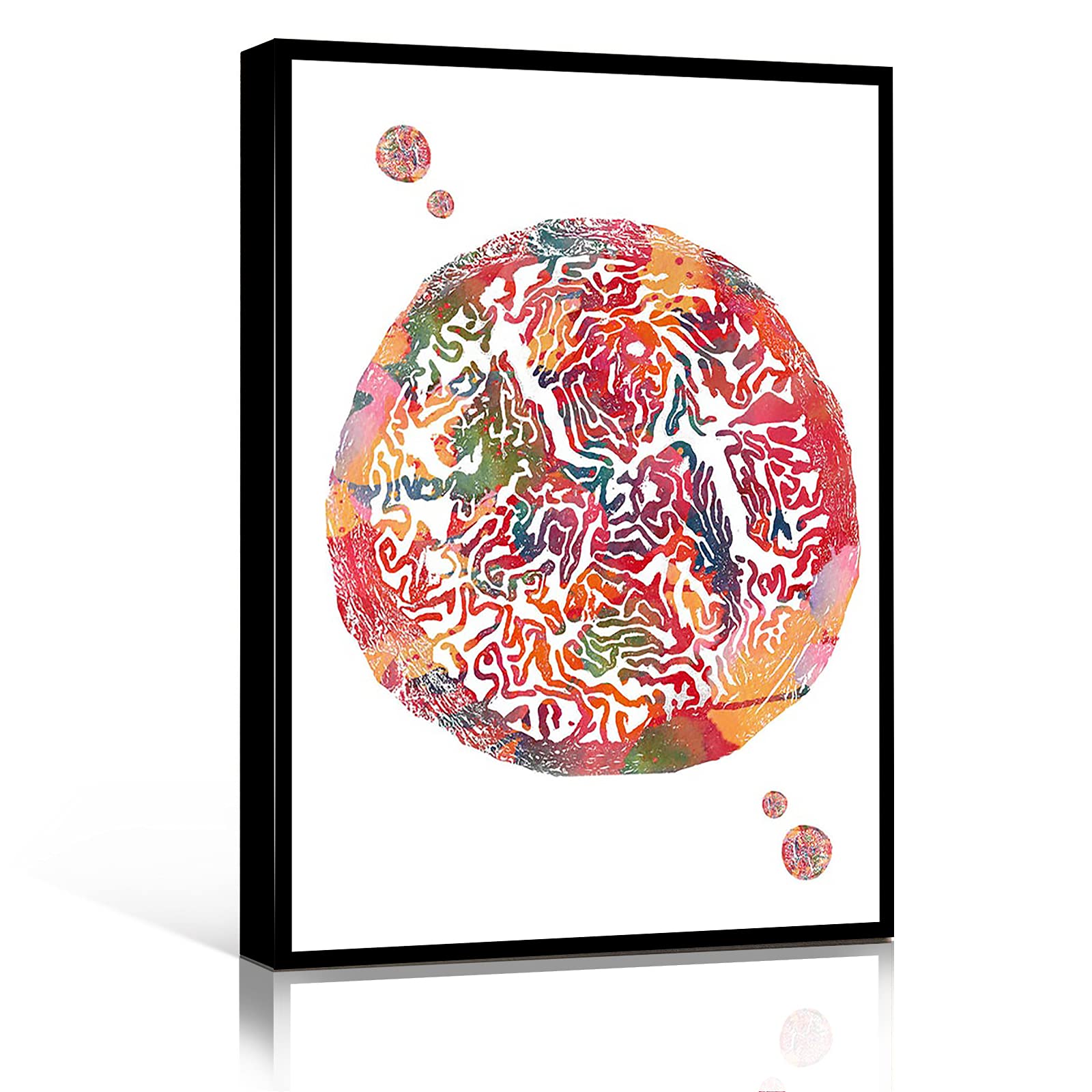 Spanish Medical Poster Fallopian Tube Histology Watercolor Print Female ...