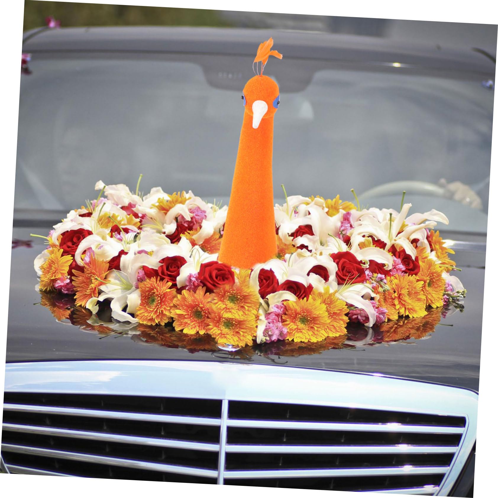 Boda Color Naranja Pavo Real