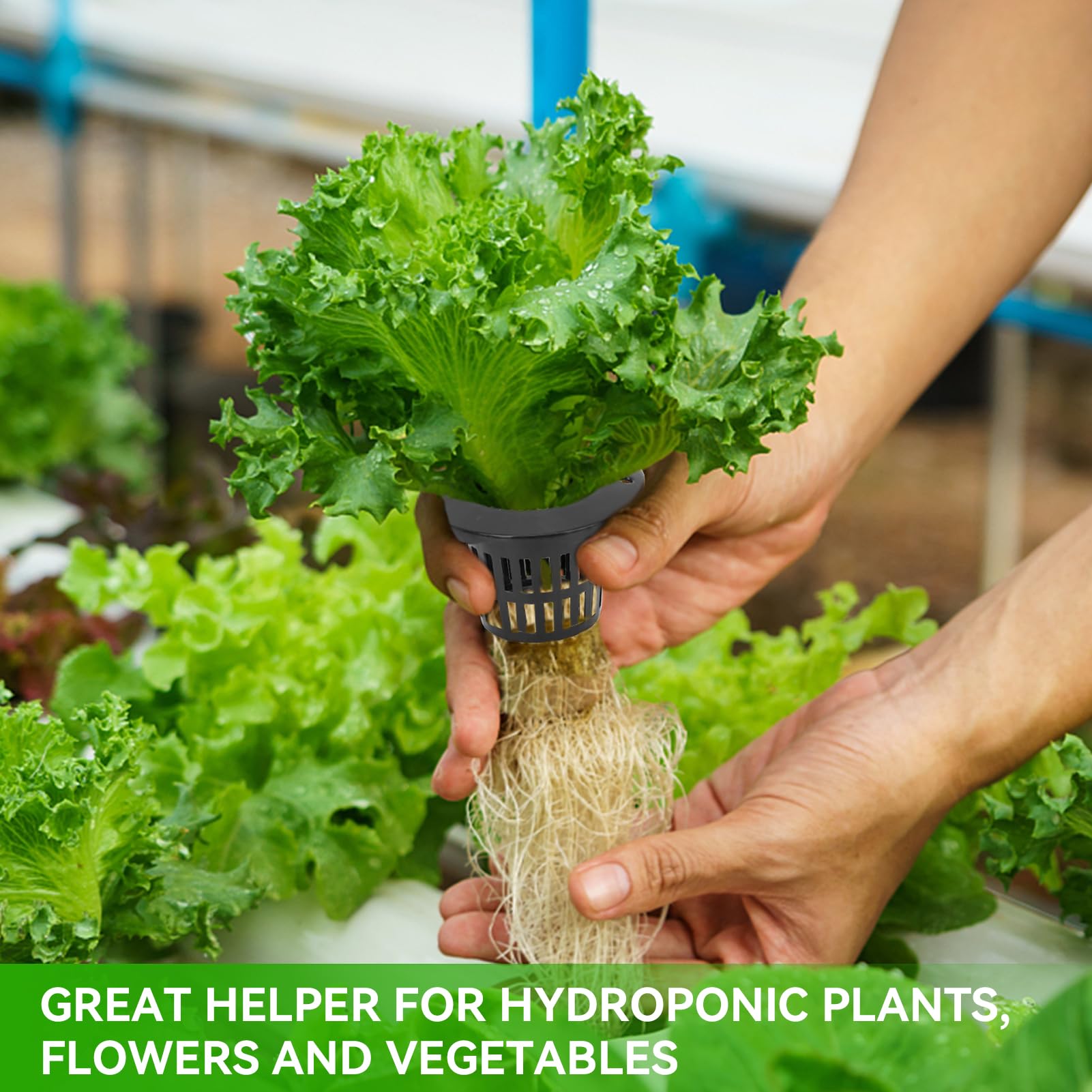 Snapklik.com : Net Cups, 50 Pcs 1.5in Net Pots For Hydroponics Garden ...