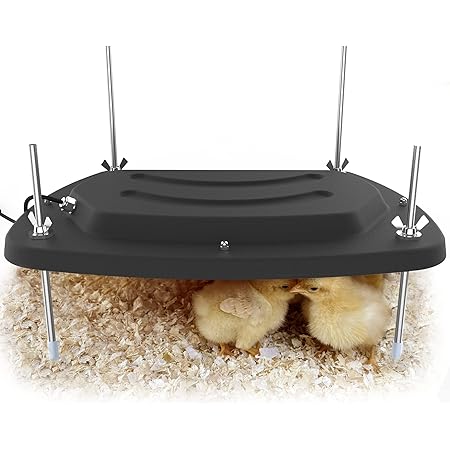 Amazon.com : Pitalok Brooder Heater for Chicks: Chick Brooder Heating Plate with Easy- Cleaning ...