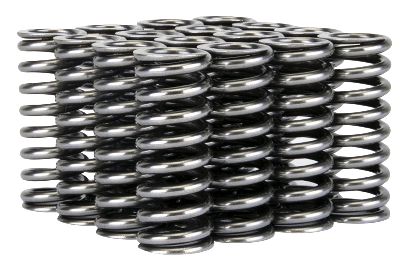 Skunk2 Valve Springs Skunk2 Alpha Valve Springs - Honda D-Series VTEC ...