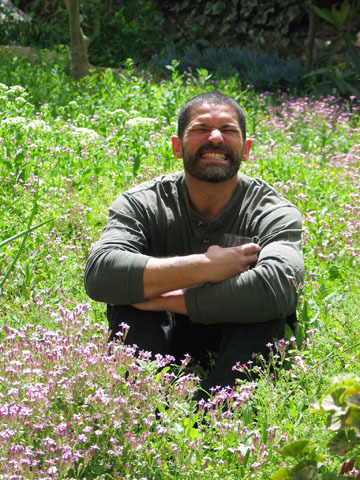 Amazon.com: Omar Rayyan: books, biography, latest update