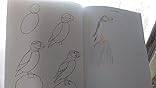 How to Draw Birds: Easy Step-by-Step Drawings! (Dover How to Draw ...