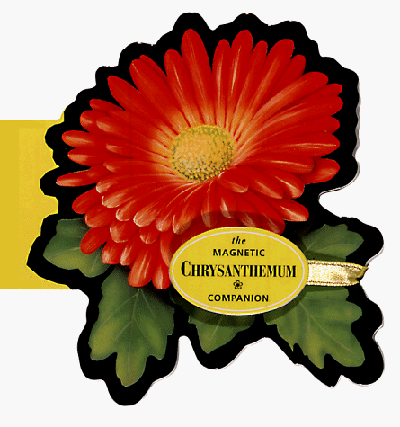 The Magnetic Chrysanthemum Companion (The Magnet Gardener): Feltwell ...