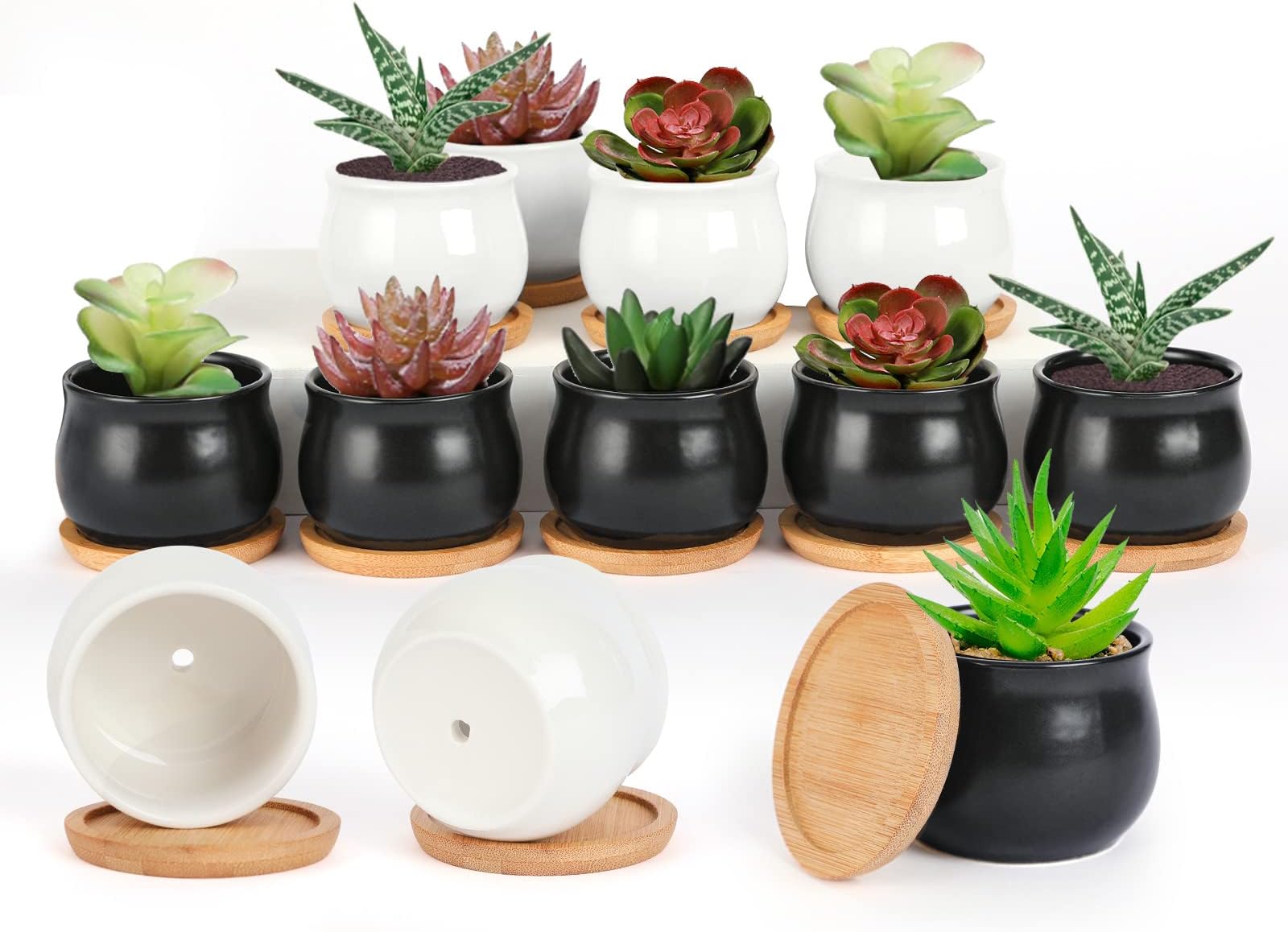 Amazon.com: Nitial 24 Pack Owl Succulent Plant Pots Mini Owl Pot with ...