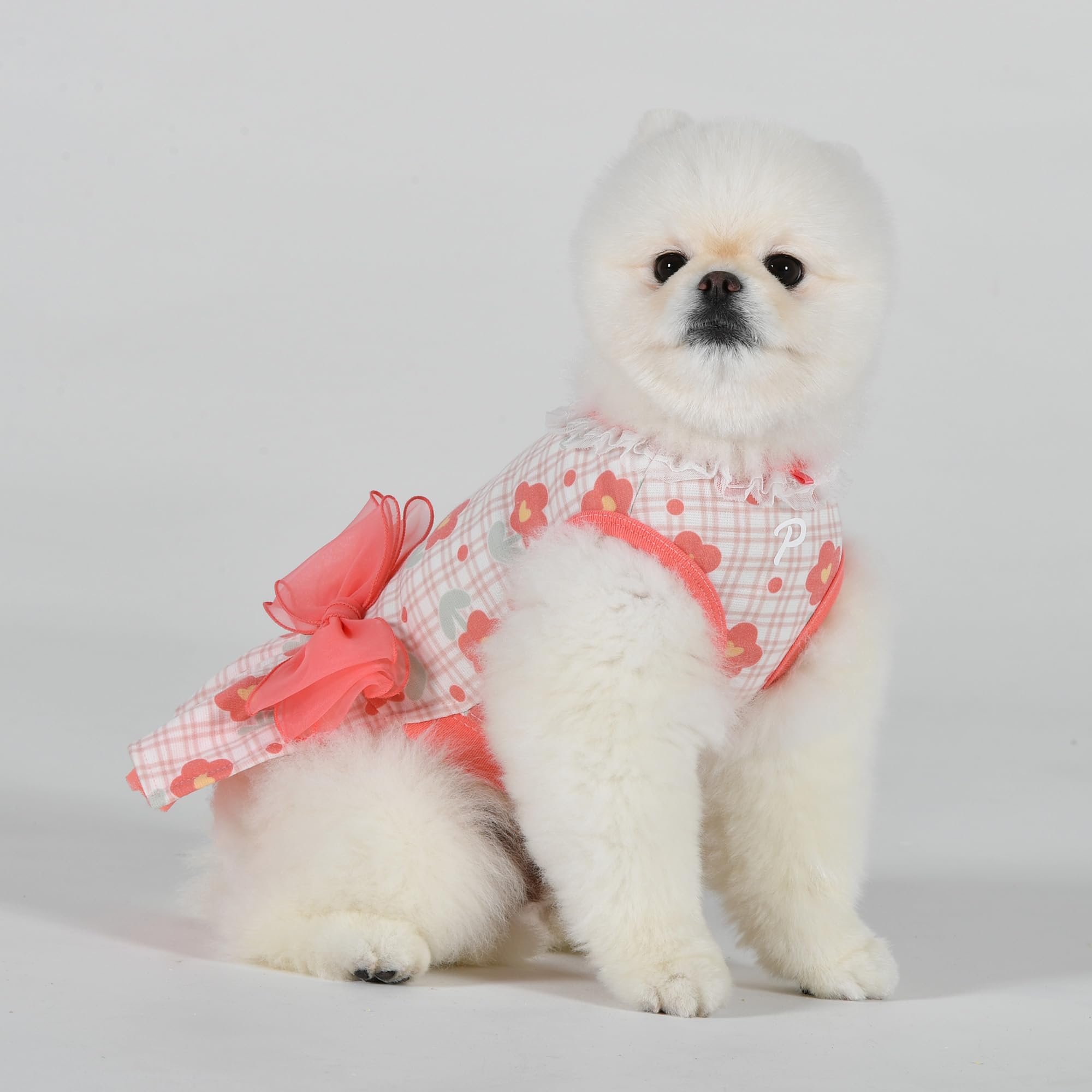 Perros Con Ropa Animal New Ropa Para Perro Impermeable