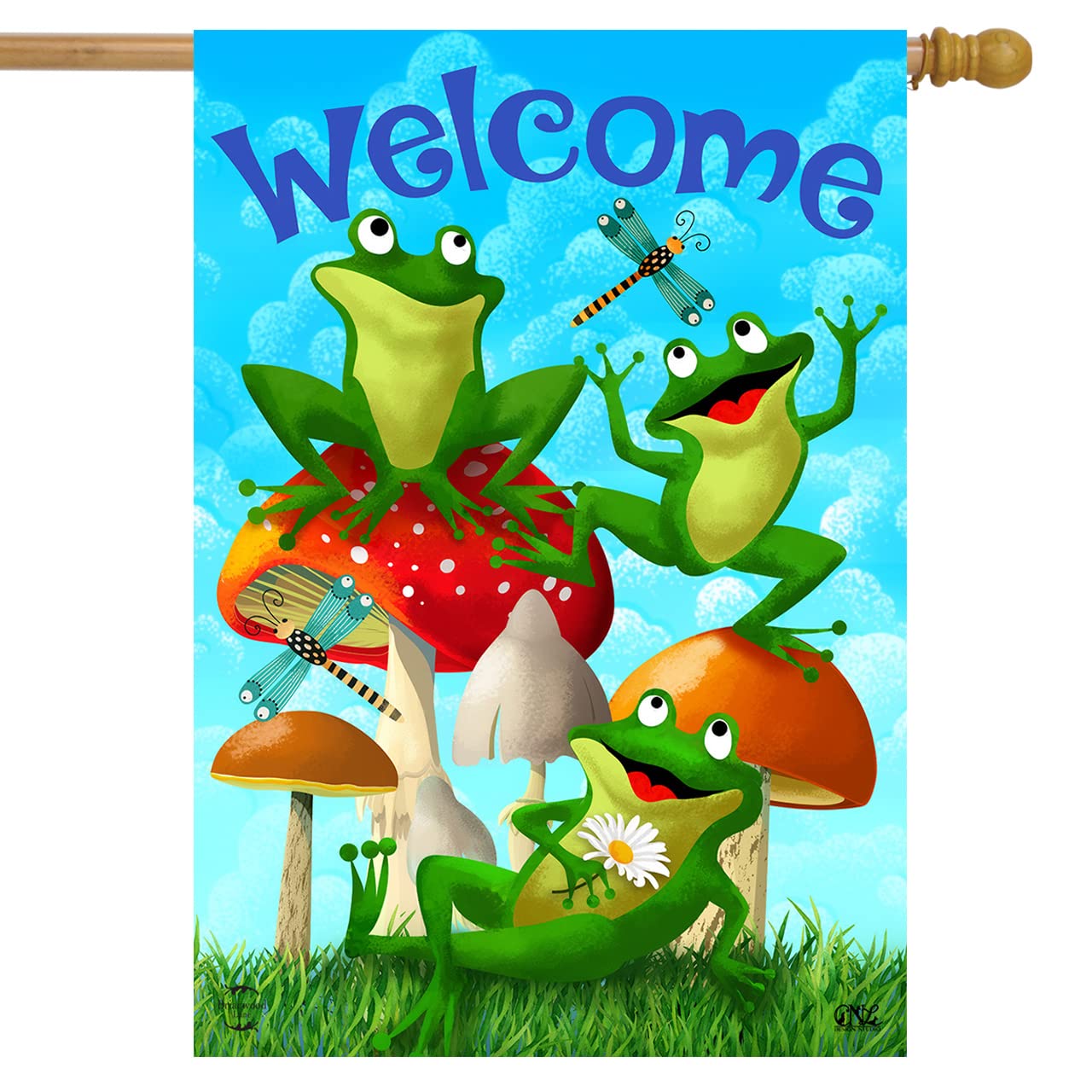Amazon.com : Briarwood Lane Happy Frogs Summer House Flag Welcome 28" x ...