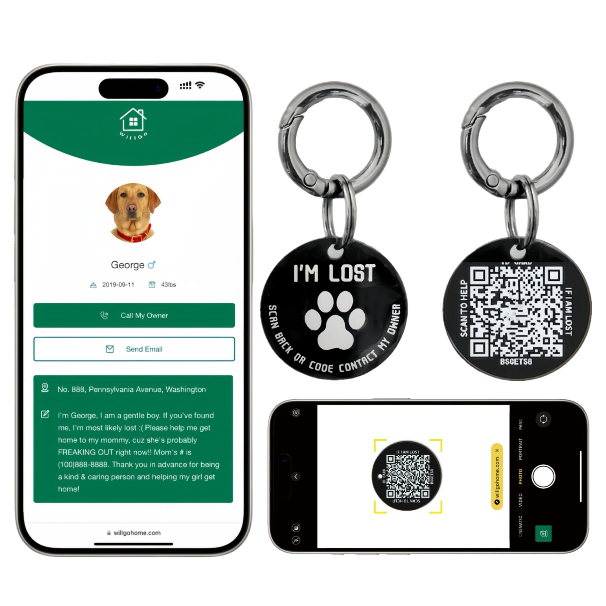 Amazon.com: QR Code Pet ID Tags - Stainless Steel Dog Tags and Cat Tags ...