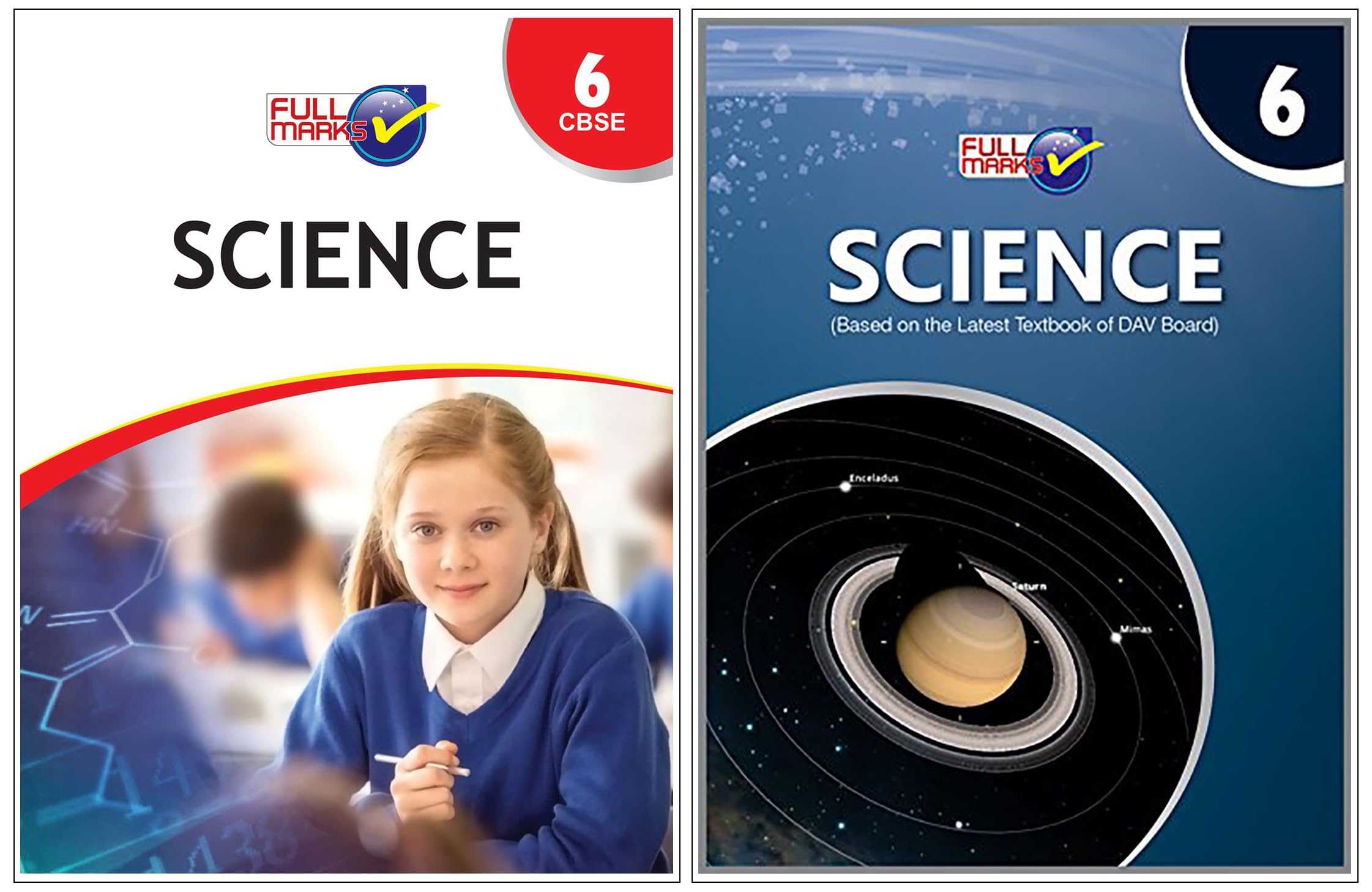 Science Class 6 CBSE (2023-24) & Full Marks Dav Science Class 6 ...