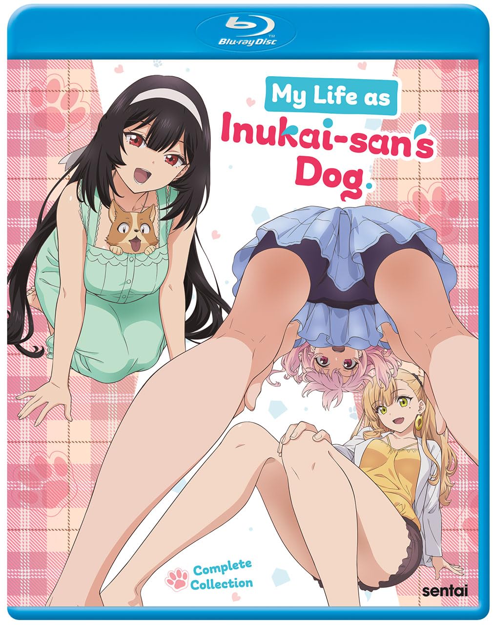 My Life as Inukai-san's Dog - Complete Collection [Blu-Ray] : Amazon.com.mx: Películas y Series ...