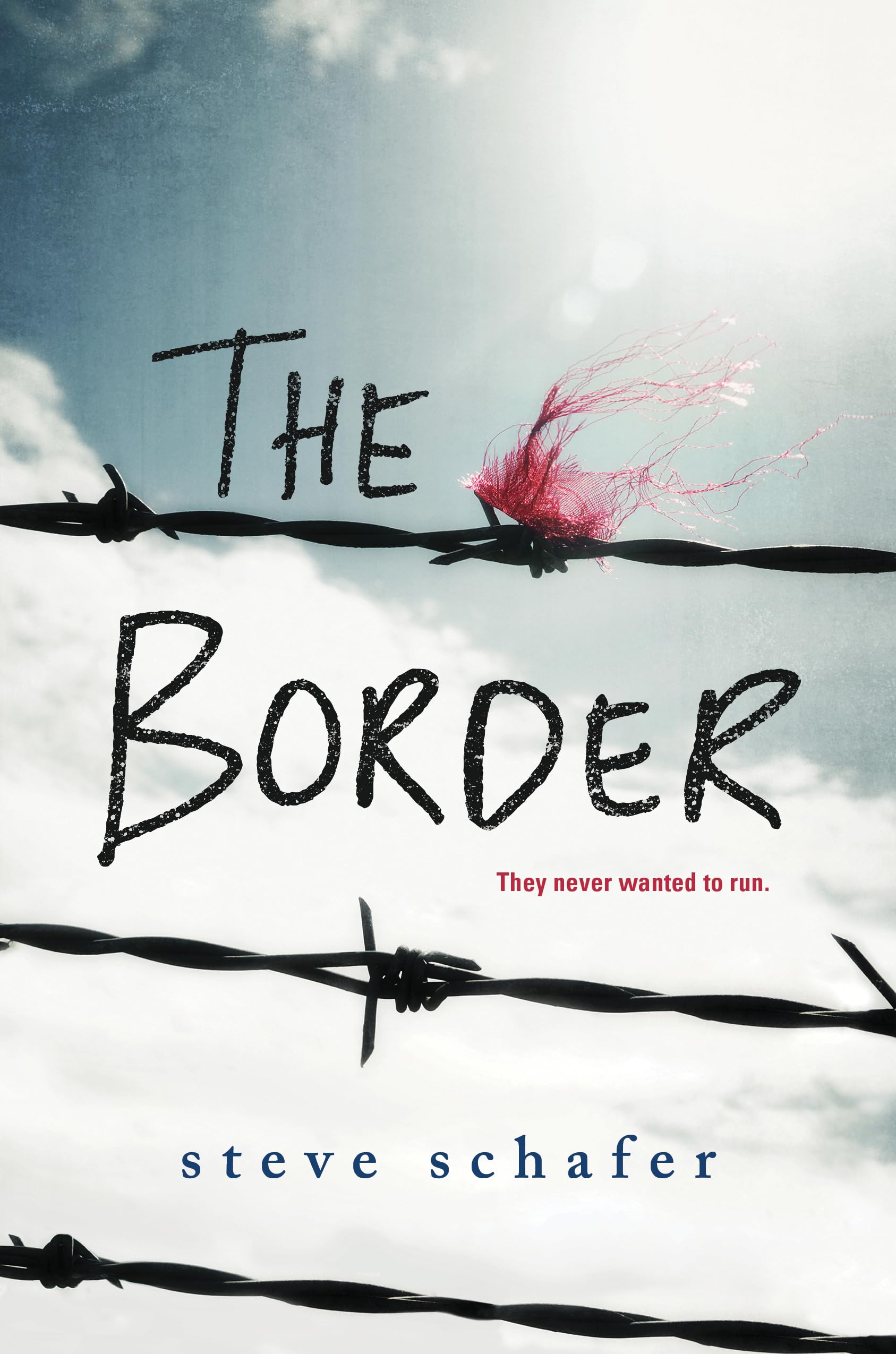 Amazon.com: The Border: 9781492646839: Schafer, Steve: Books