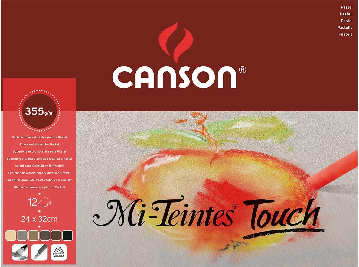Amazon.com: CANSON Mi-Teintes Coloured Drawing 335g 24 x 32cm Paper ...