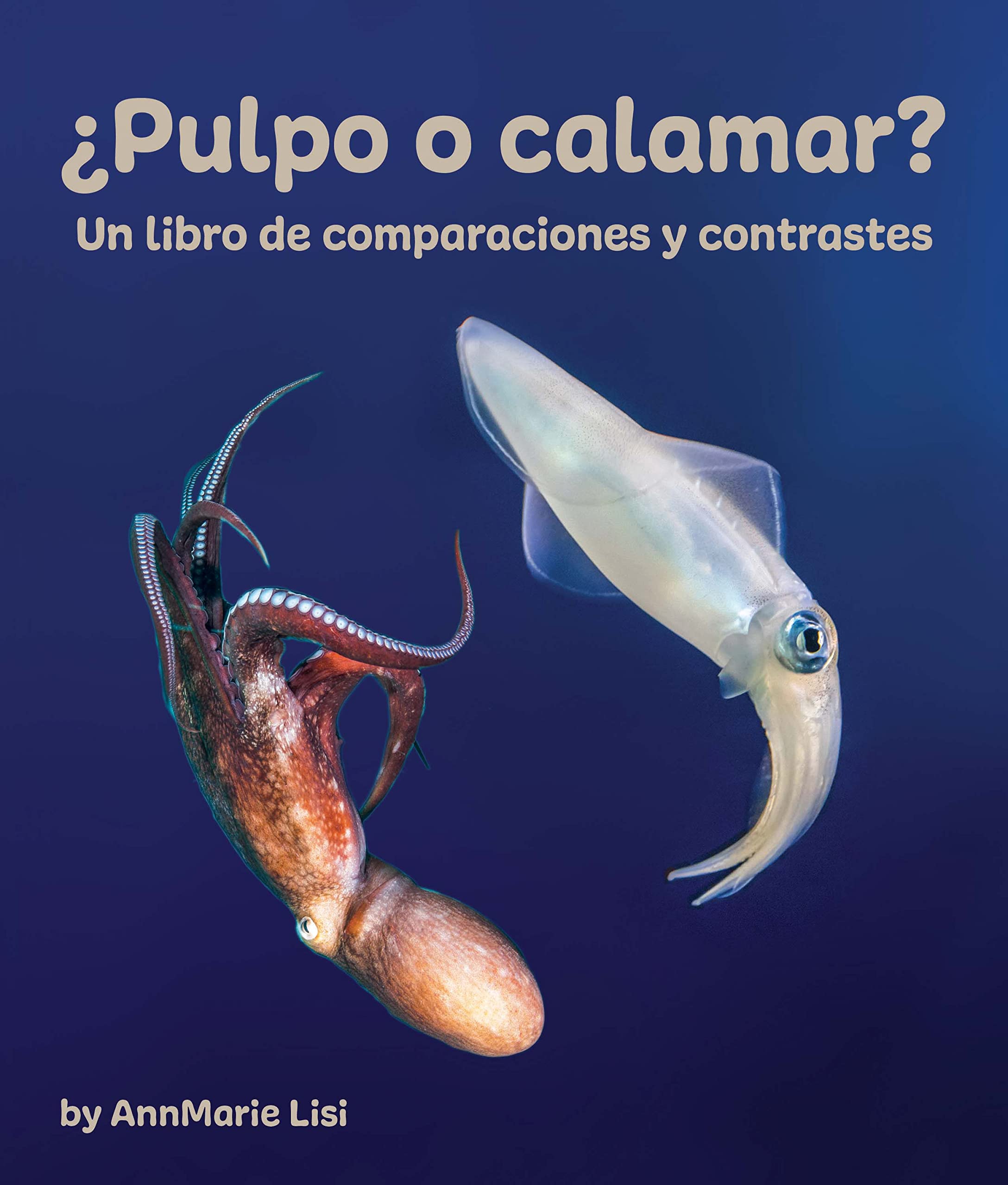 Pulpo Y Calamar Bonvivante Pulpo Vs Calamar. ¿Cuál Le Apetece