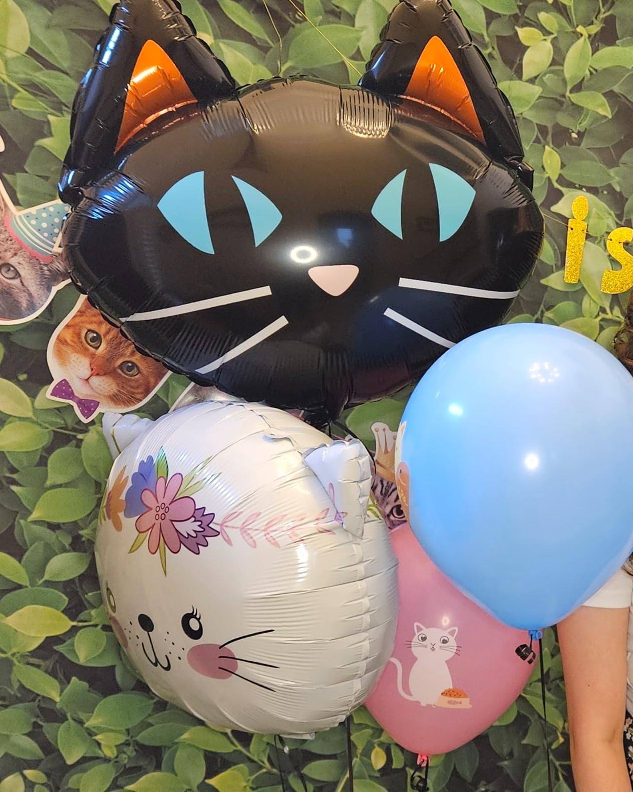 Amazon.com: 25.6" Black Cat Halloween Balloons - 6PCS Halloween Black ...