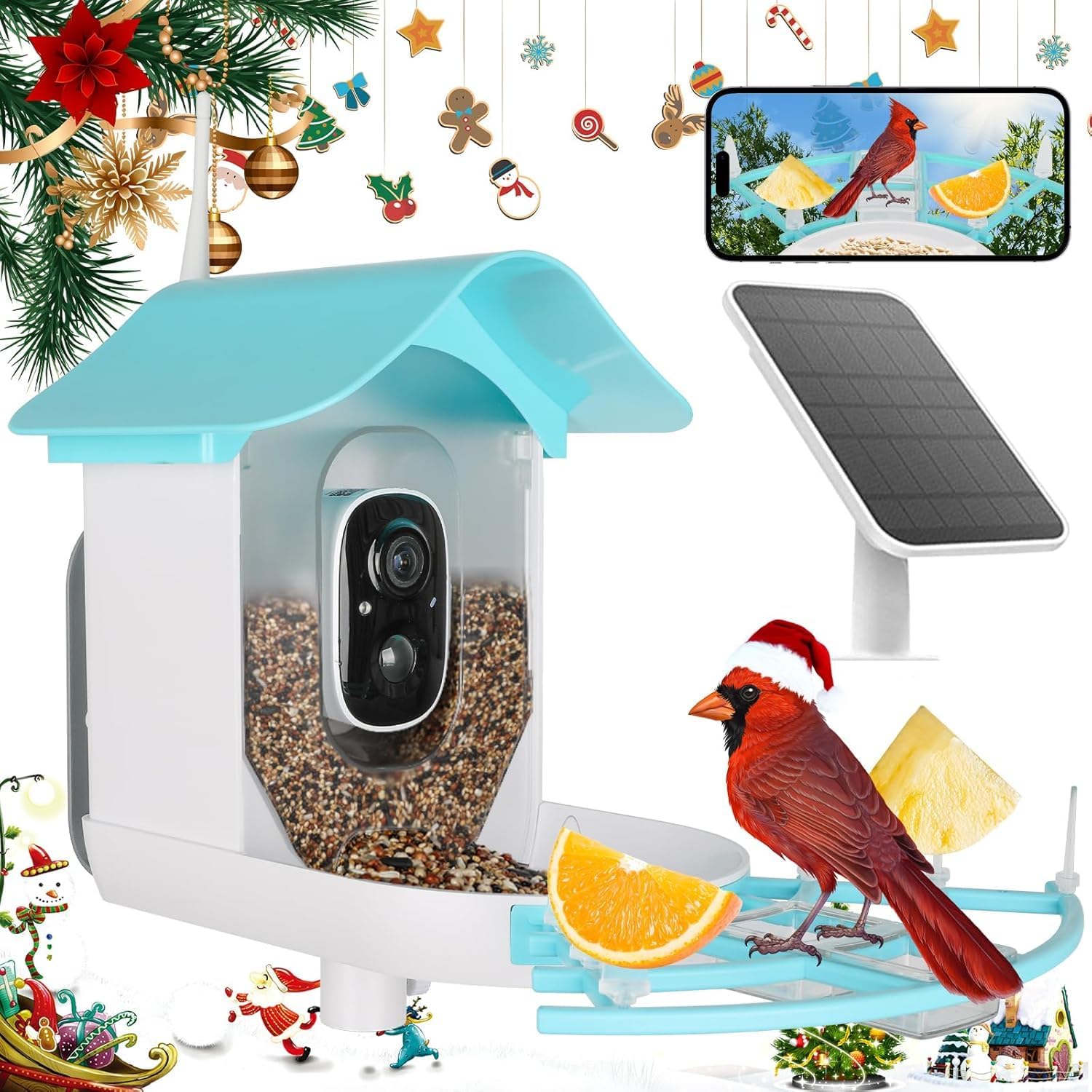 Amazon.com : DELOTA Smart Bird Feeder Camera with AI Species ID, Auto ...