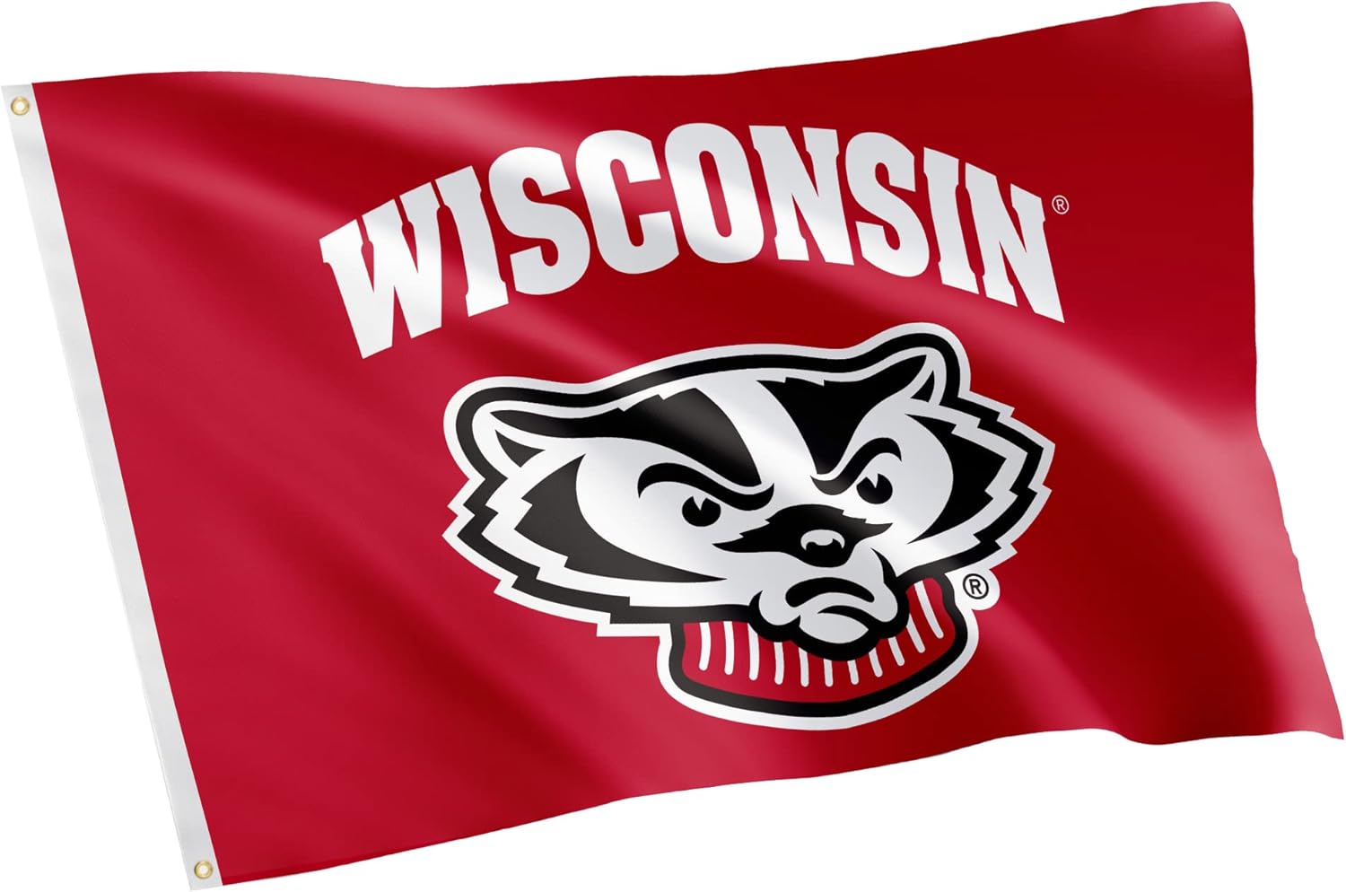 Amazon.com : Desert Cactus University of Wisconsin UW Flag - 3 x 5 Feet ...
