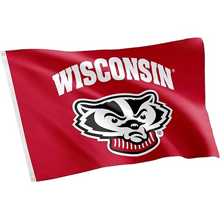 Amazon.com : Desert Cactus University of Wisconsin Flag Badgers UW ...