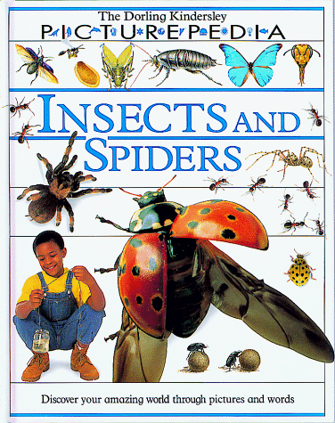 Insects and Spiders (Picturepedia): DK Publishing, McCormick, Rosie ...