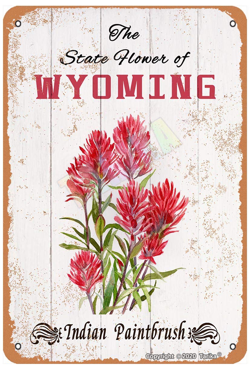Wyoming Flower