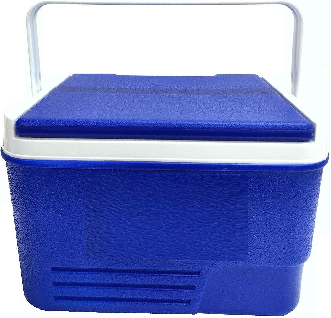 Buy Mitrin Insulated Chiller Ice Box 6 LTR (Multi Color) Small Size for ...