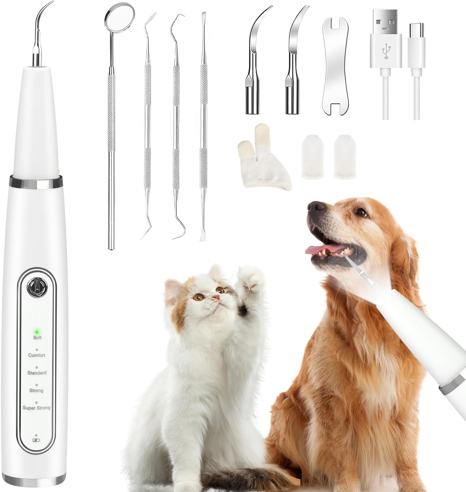 Amazon.com: Plaque Remover for Teeth: Dog Teeth Cleaning Kit for Tartar ...