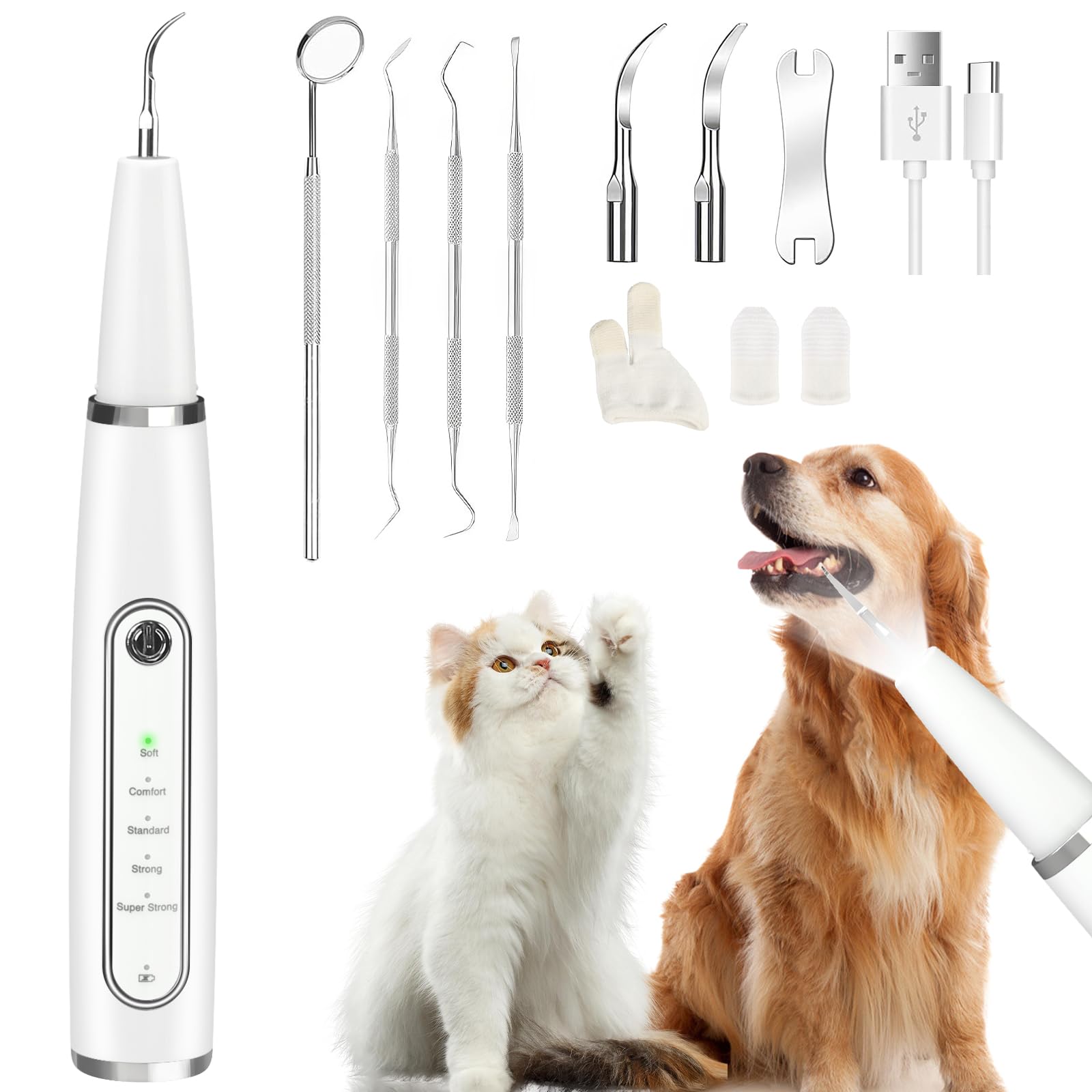 Amazon.com: Plaque Remover for Teeth: Dog Teeth Cleaning Kit for Tartar ...