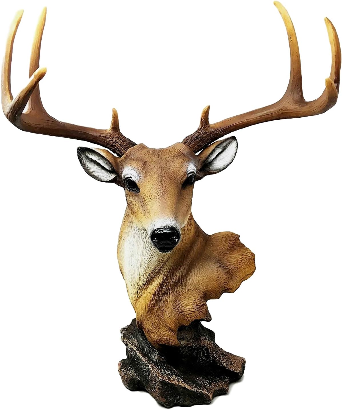 Amazon.com: Decorative Buck Bust Statue or Deer Head Sculpture with 8 ...