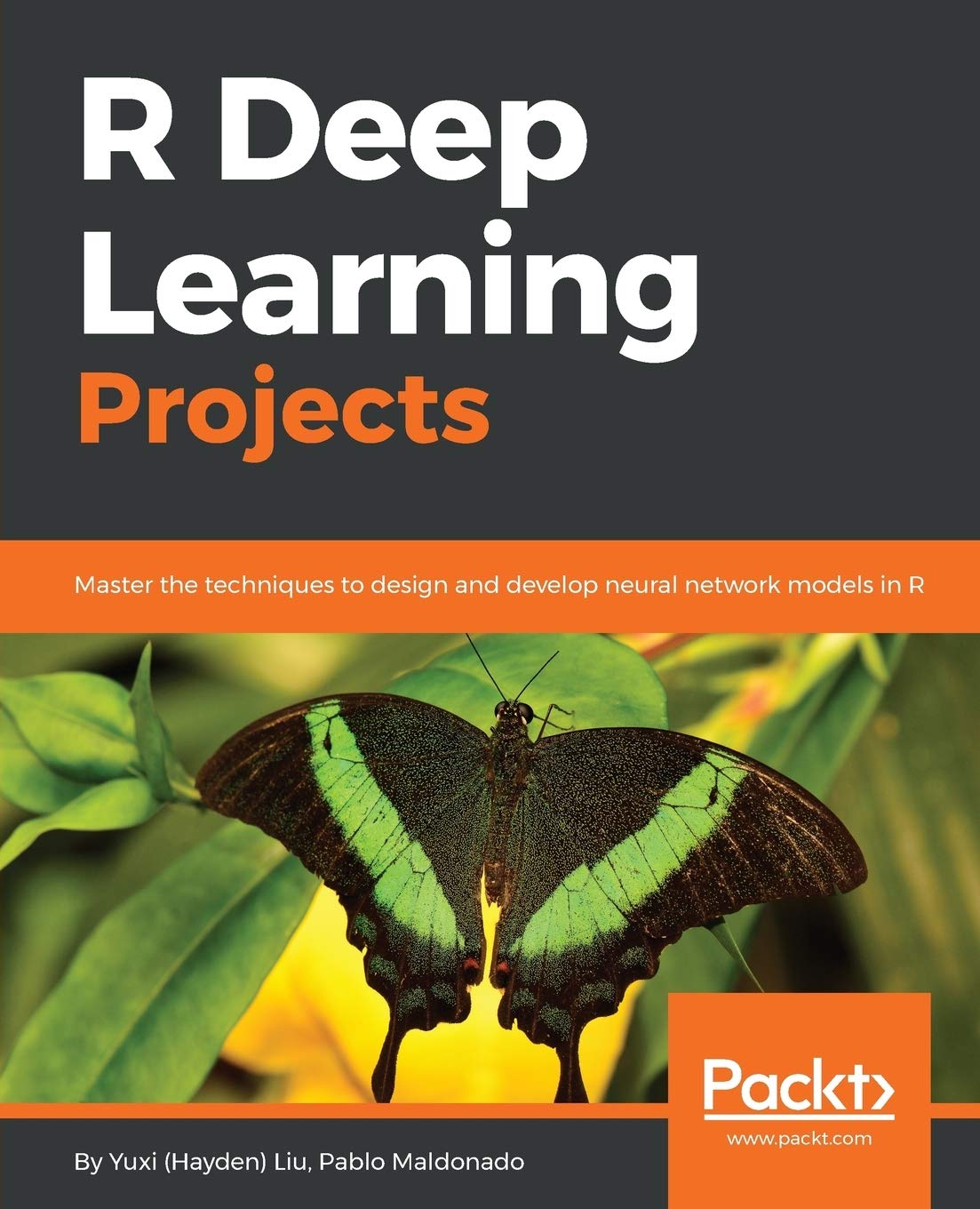 Buy R Deep Learning Projects: Master the techniques to design and develop neural network models ...