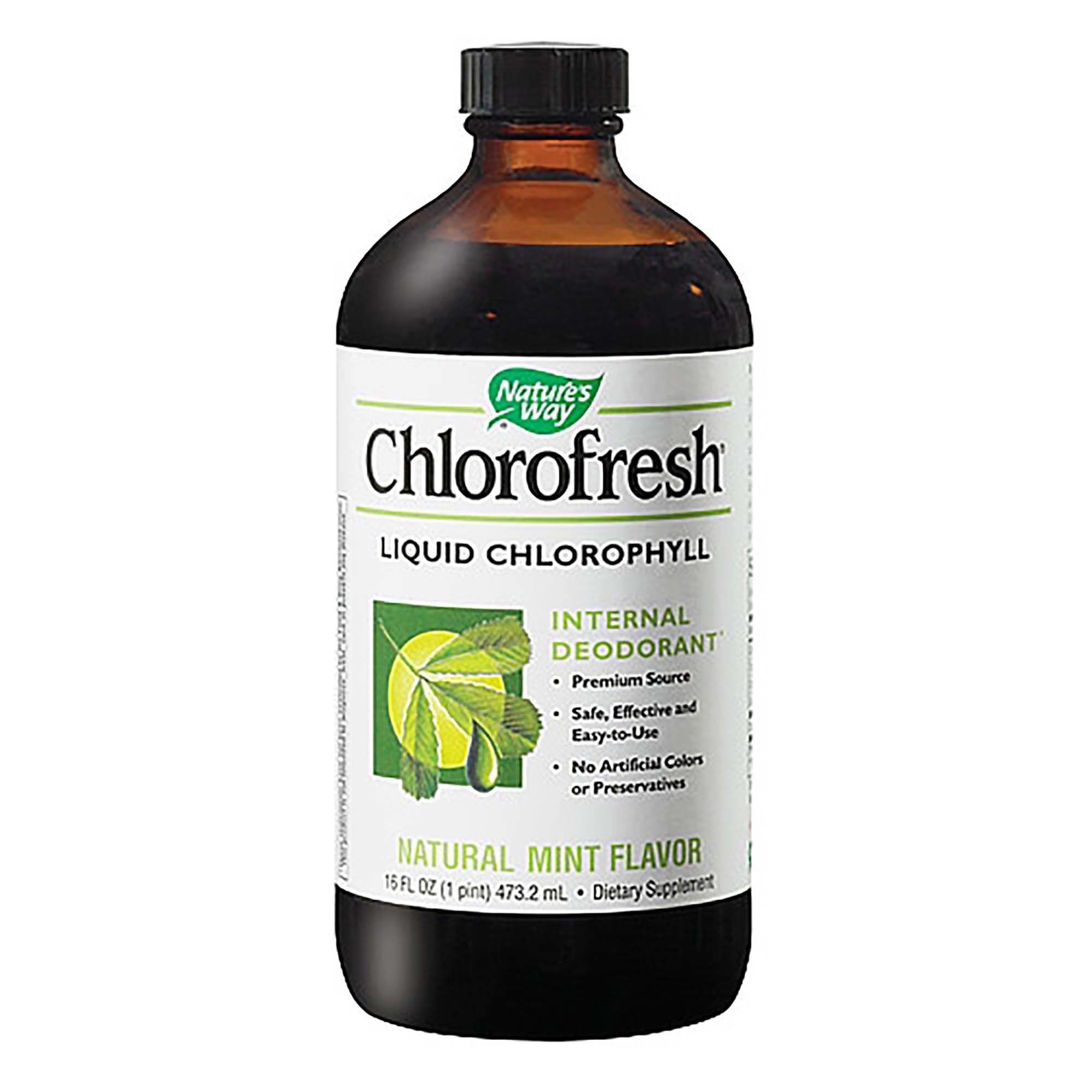Amazon.com: Natures Way Chlorofresh Liquid Chlorophyll 16 ozs (Mint ...