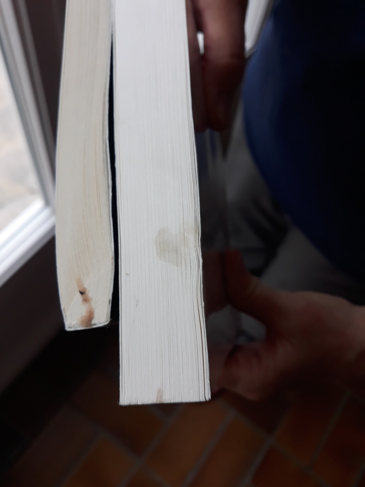 Amazon.fr - Les aventures de Kornel Esti - Kosztolanyi, Dezso ...