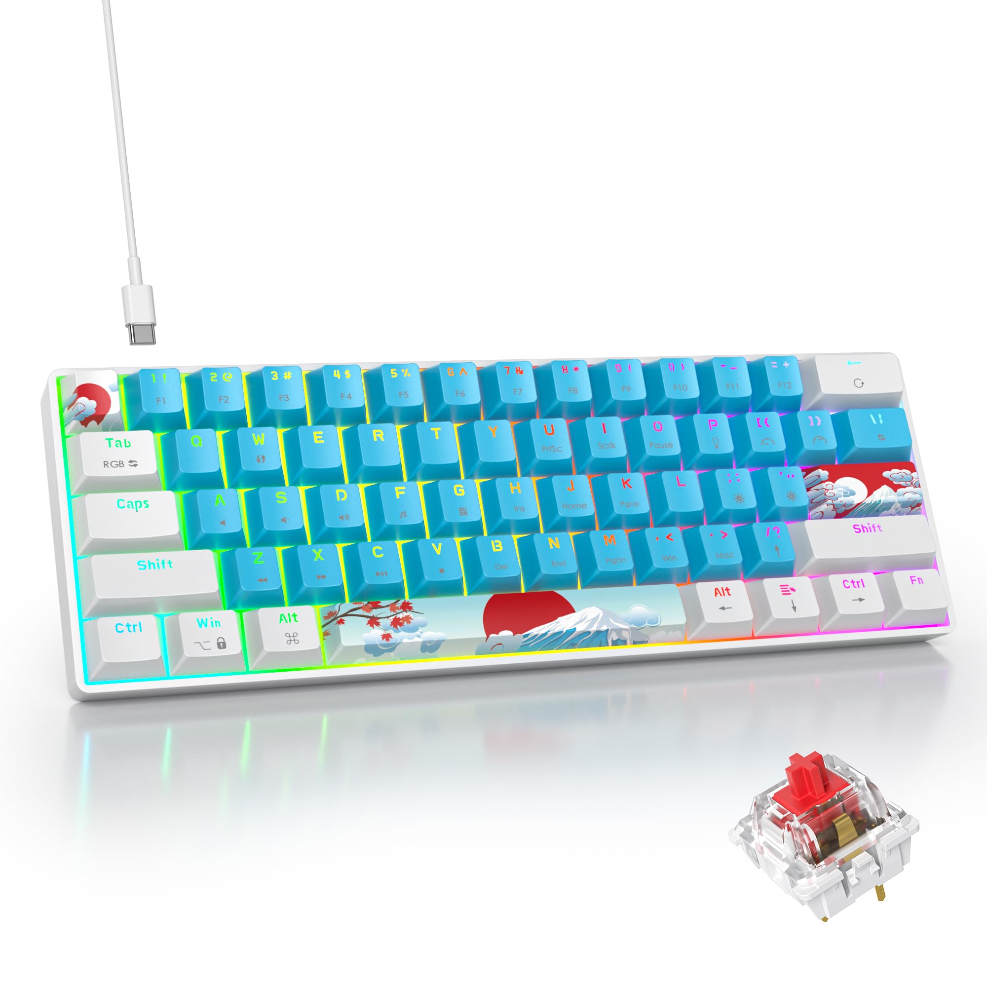 Amazon.com: iRoboosta Blue and White Mechanical Gaming Keyboard 60 ...