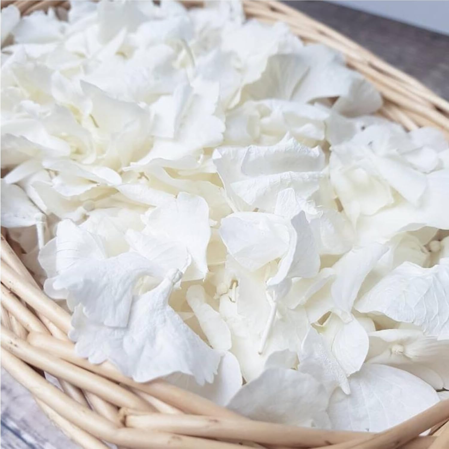 Amazon.com: Real Dried Ivory White Hydrangea Flower Petals - 1.06 oz ...