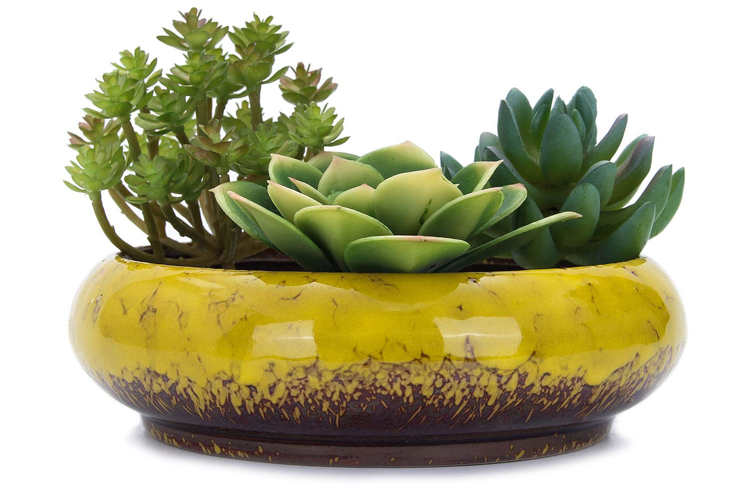 Amazon.com: VanEnjoy 7.3 inch Round Large Shallow Succulent Ceramic ...