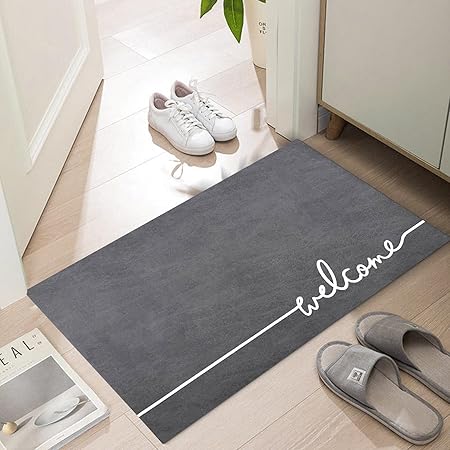 LYGLIGH Welcome Mat Indoor, Ultra Thin Door Mat, 1/10 in Thin Door Mats ...